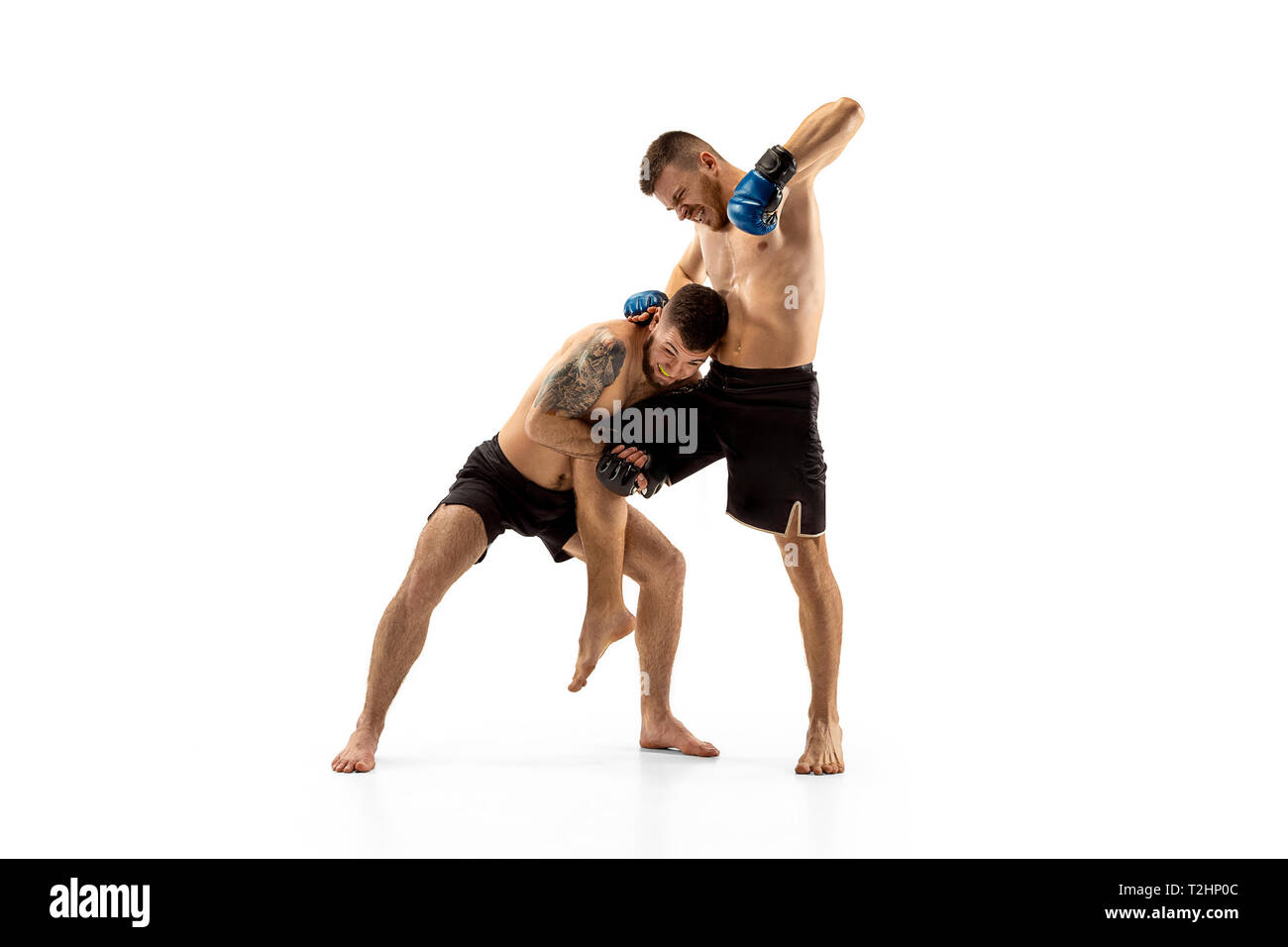 MMA. Two professional fightesr punching or boxing isolated on white ...