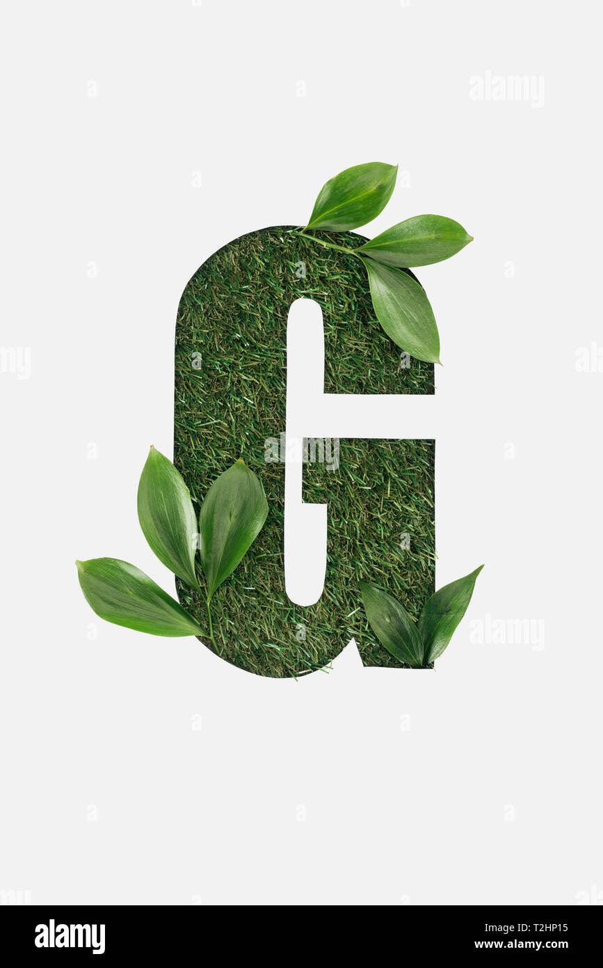 top view of cut out G letter on green grass background with leaves ...