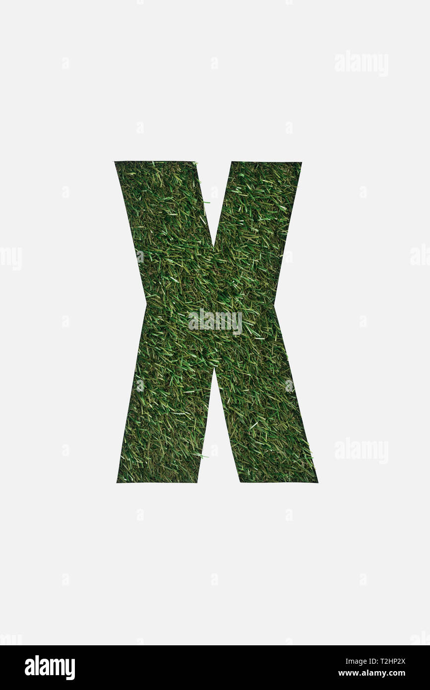 top view of cut out X letter on green grass background isolated on ...