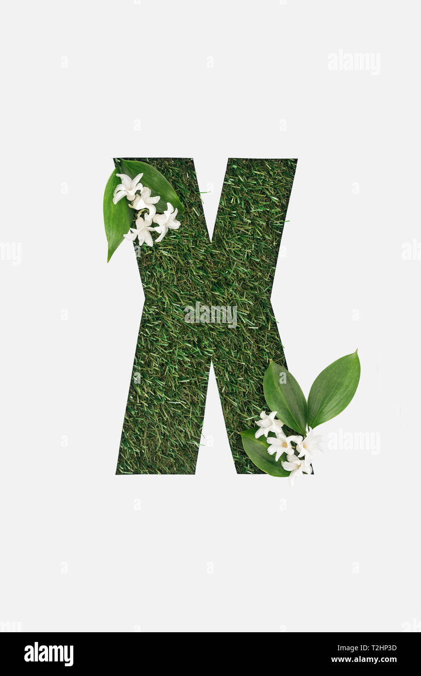 Cut out x hi-res stock photography and images - Alamy