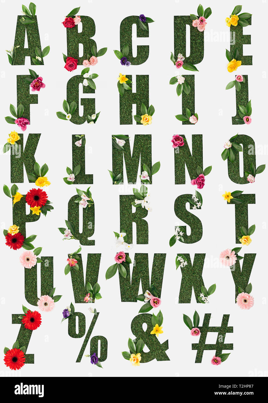 letters from English alphabet made of green grass with fresh leaves and ...