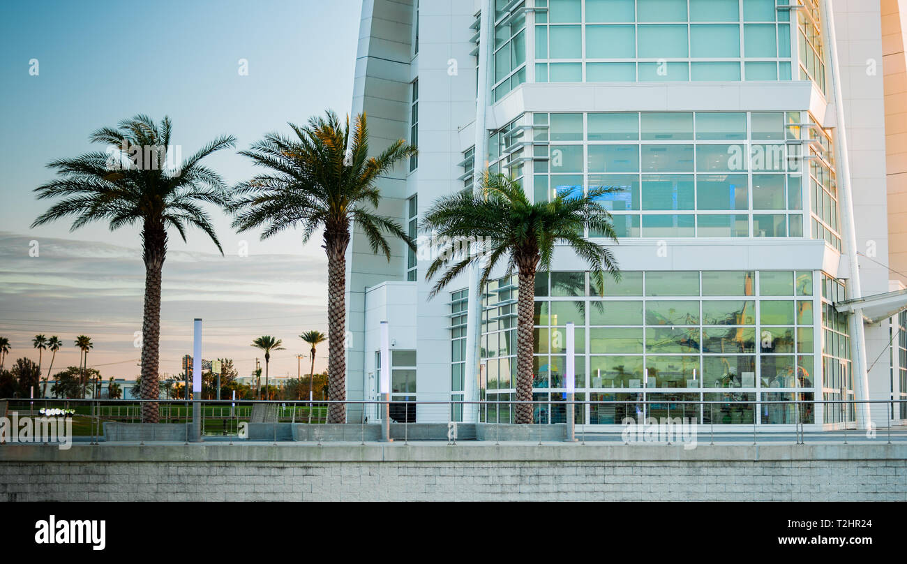 Glass window building with three palm trees and wall Stock Photo - Alamy