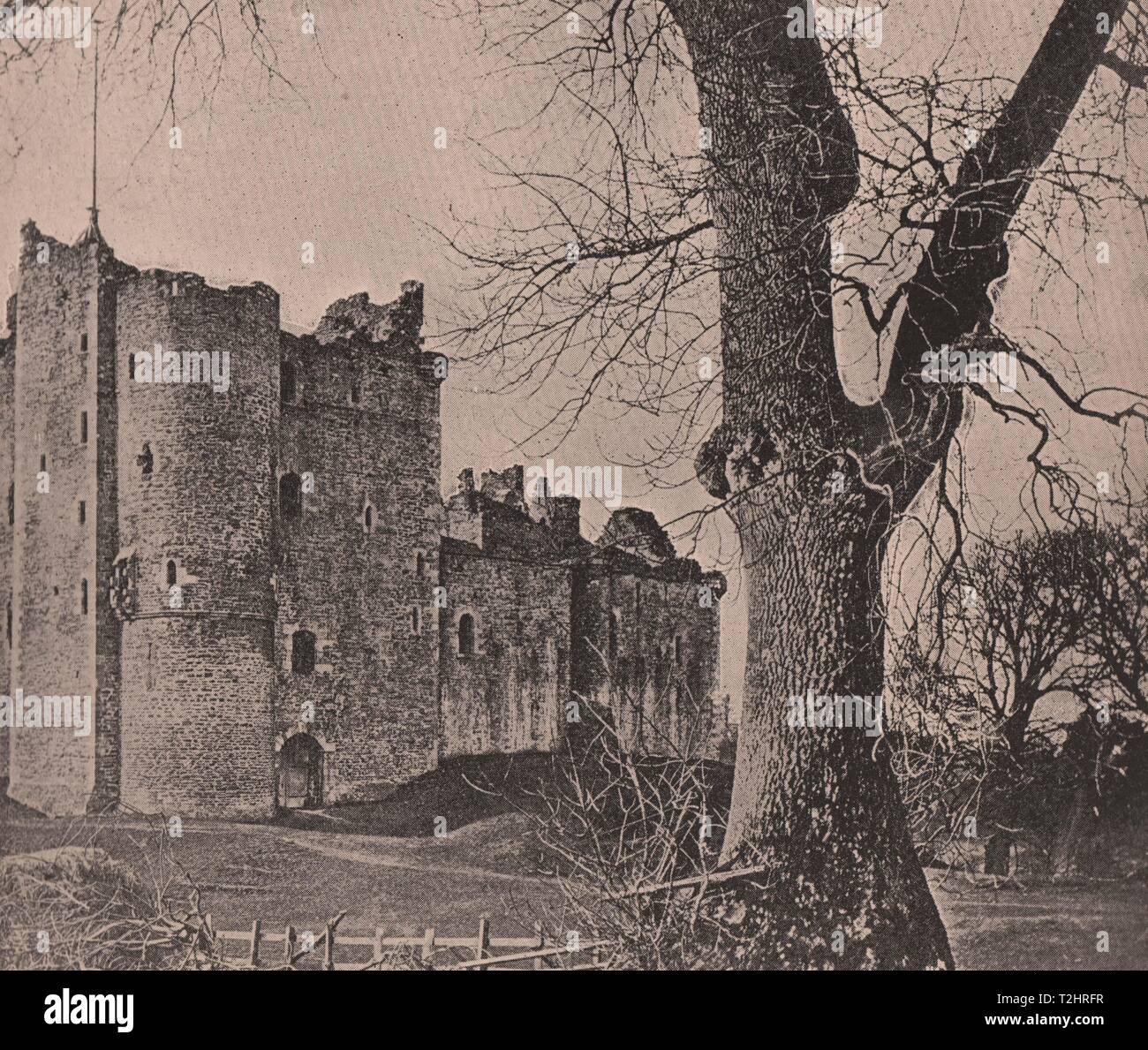 Gallows tree hi-res stock photography and images - Alamy