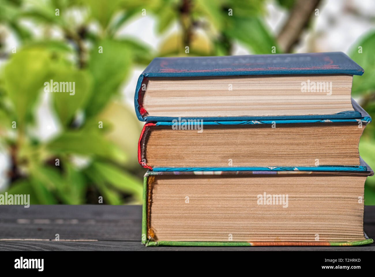 Vertically stacked books hi-res stock photography and images - Alamy