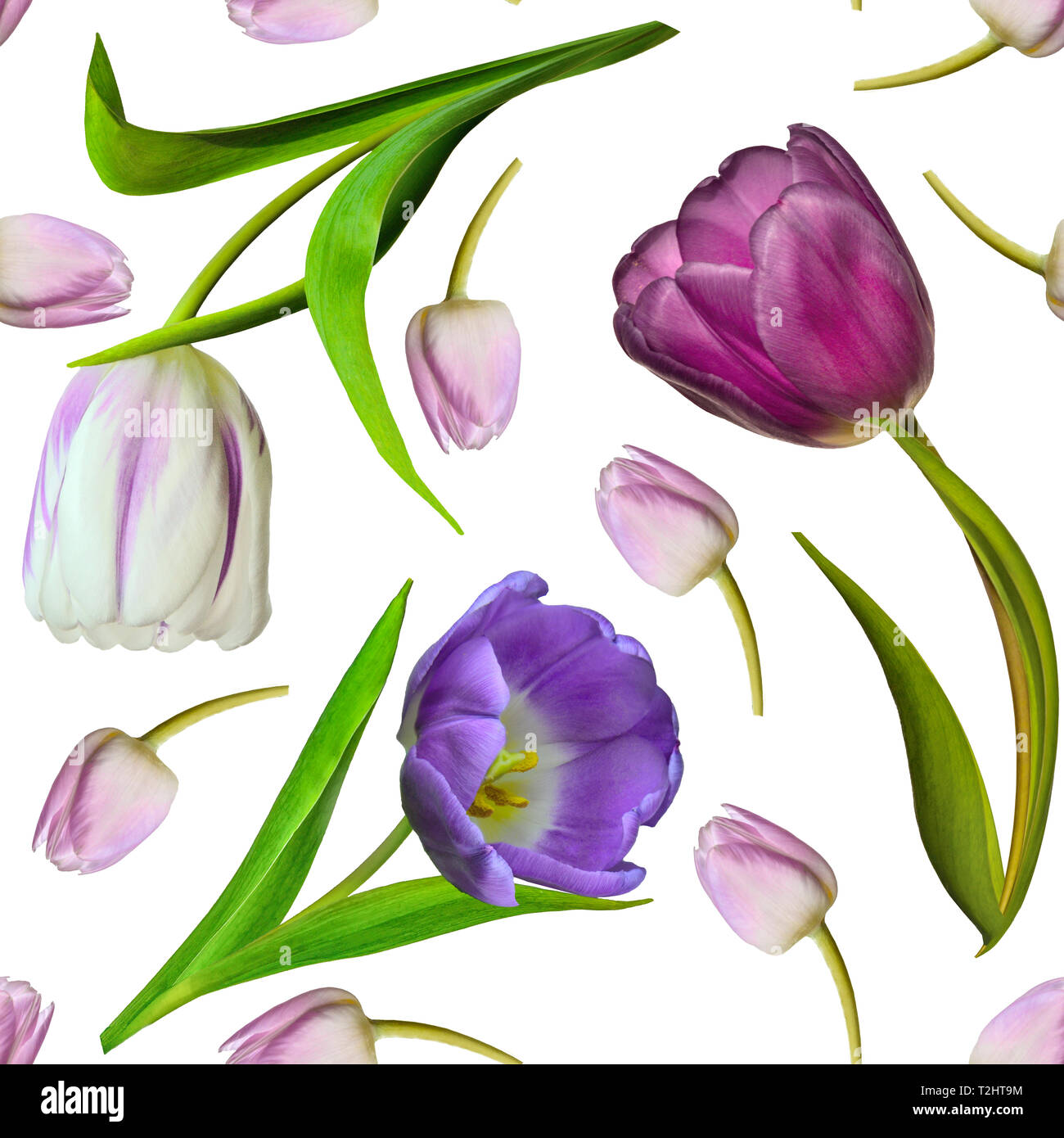 Fabric tulip hi-res stock photography and images - Alamy