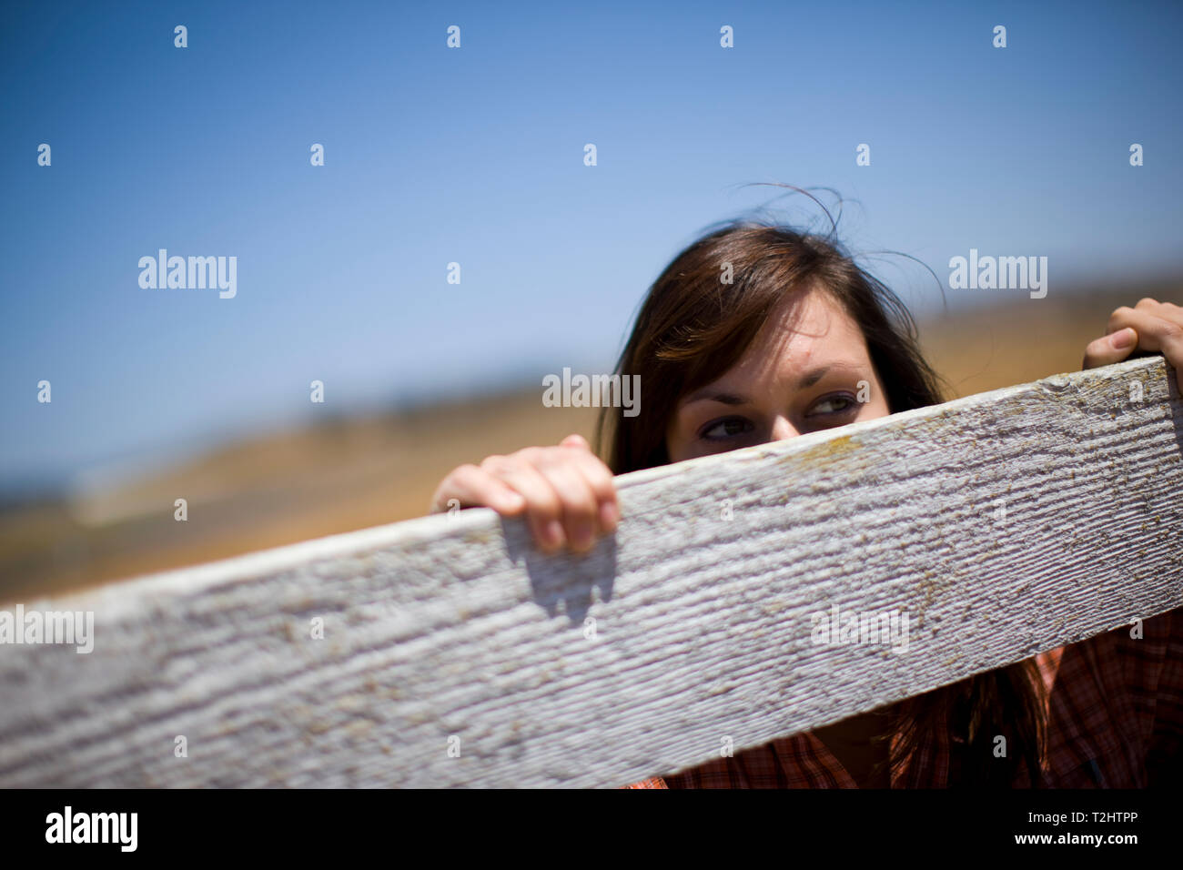 Peeking over fence hi-res stock photography and images - Alamy