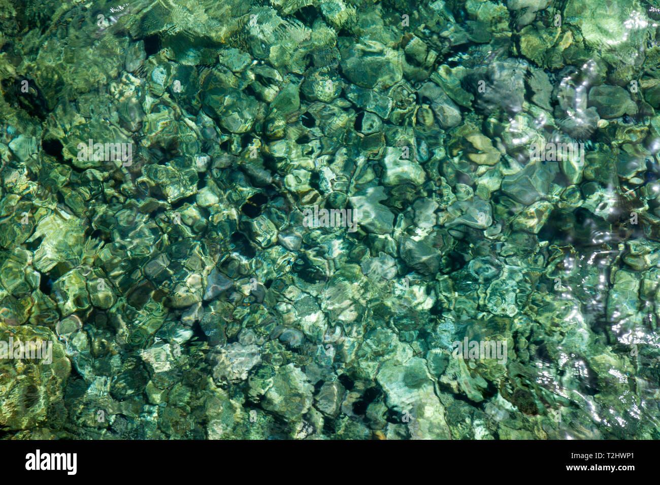 transparent shallow water over rocks natural background Stock Photo - Alamy