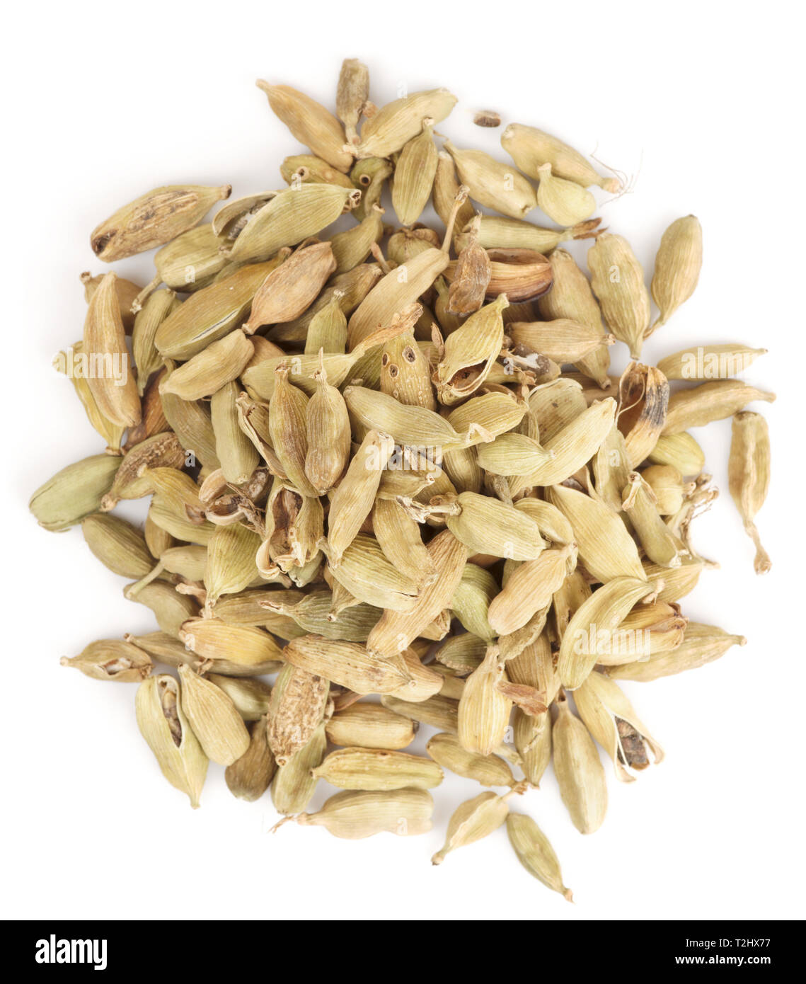 Cardamom isolated on white background Stock Photo - Alamy