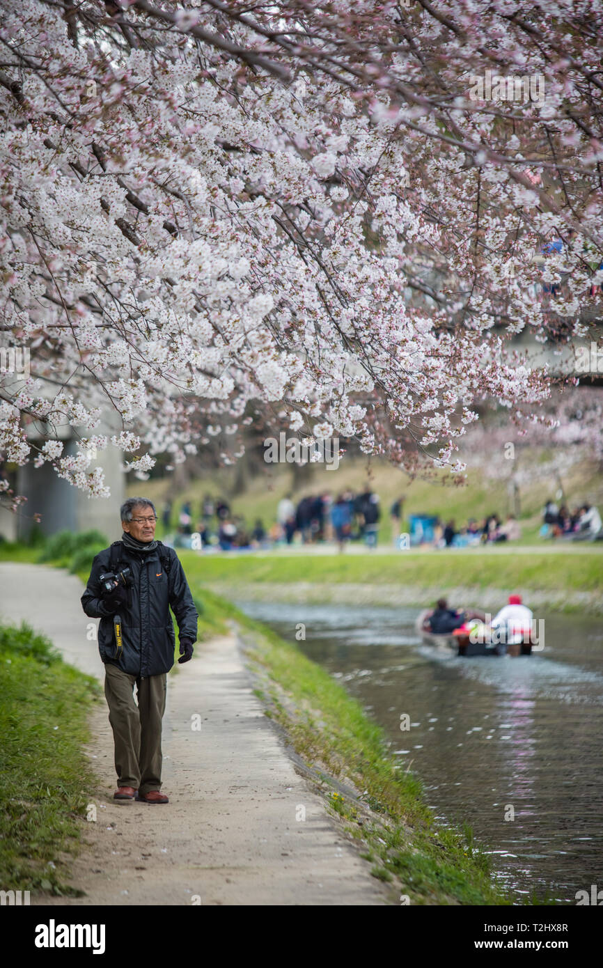 Otogawa hi-res stock photography and images - Alamy