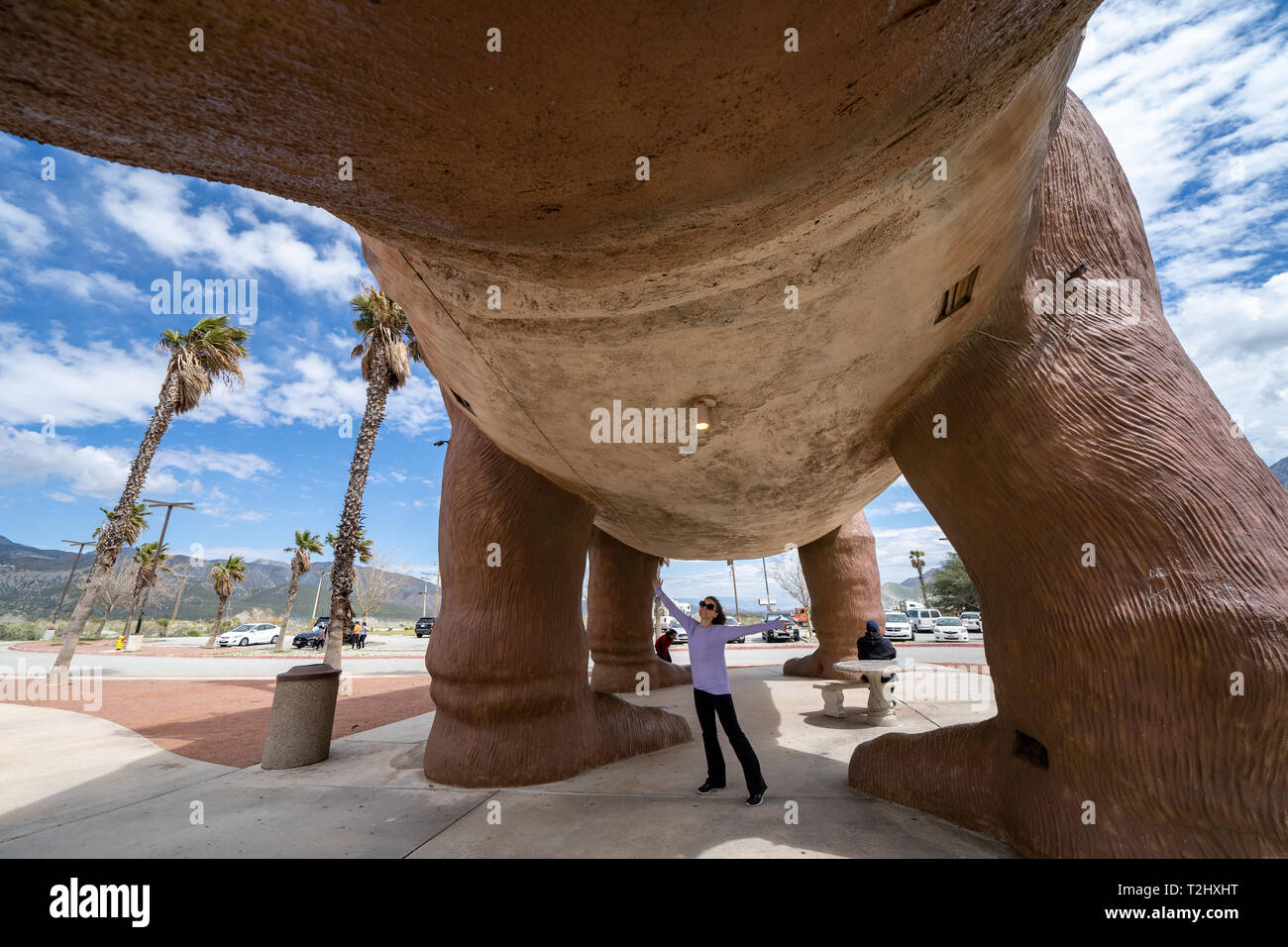 March 20, 2019 - Cabazon, California: Woman tourist poses near a ...
