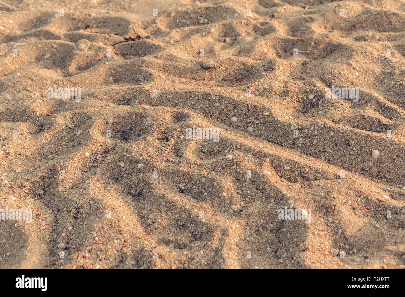 Sand texture top view Stock Photo - Alamy