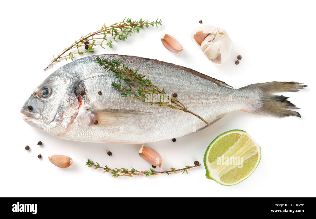 Gilt-head bream with herbs and spices isolated on white background ...