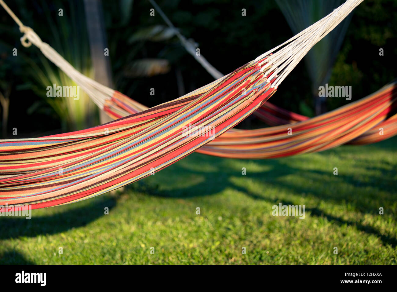 Mayan Hammocks in Belize Stock Photo - Alamy