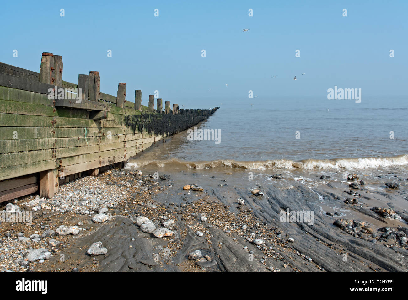 Wave control groynes hi-res stock photography and images - Alamy