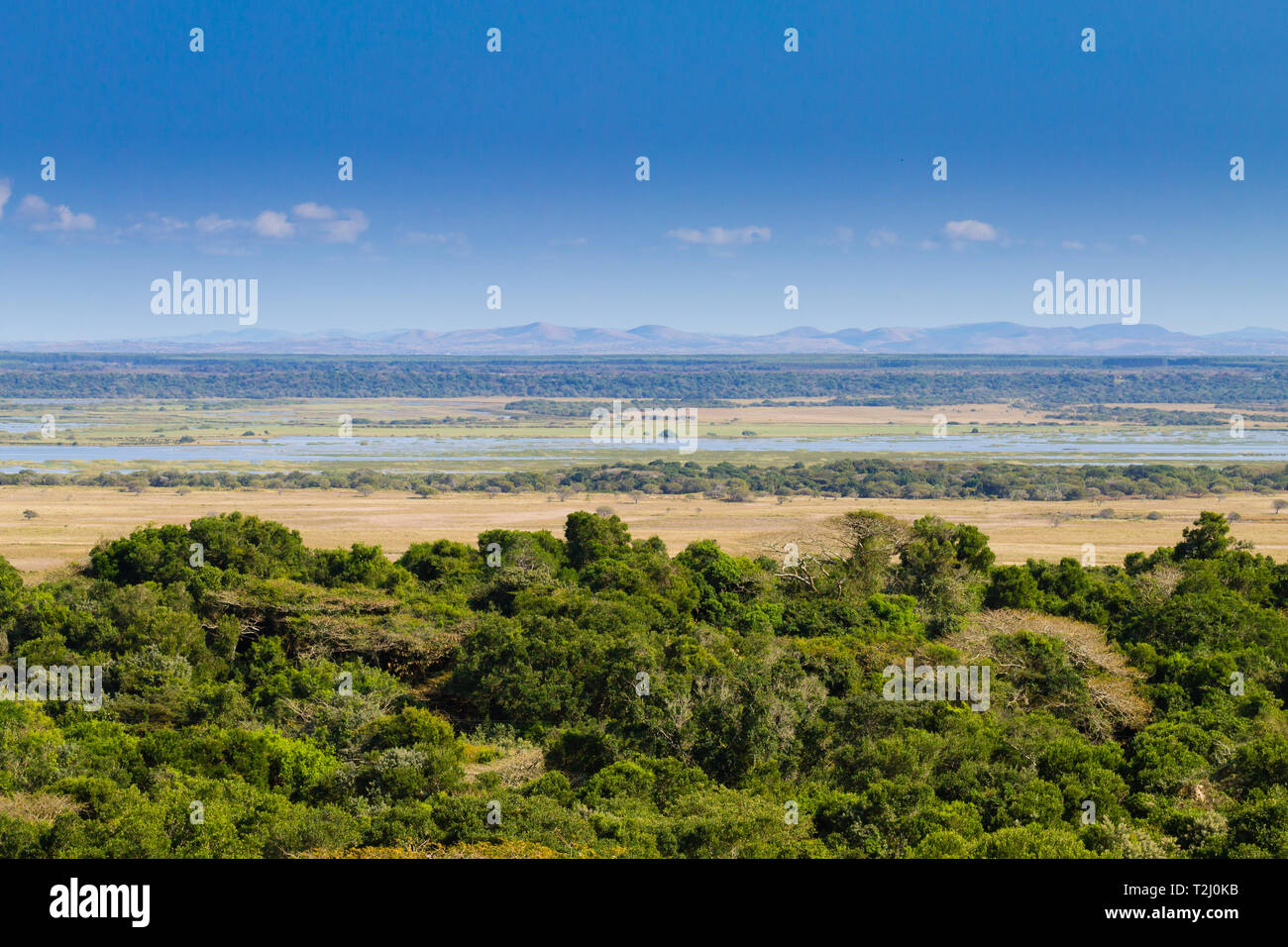 Isimangaliso Wetland Park landscape, South Africa. Beautiful panorama ...