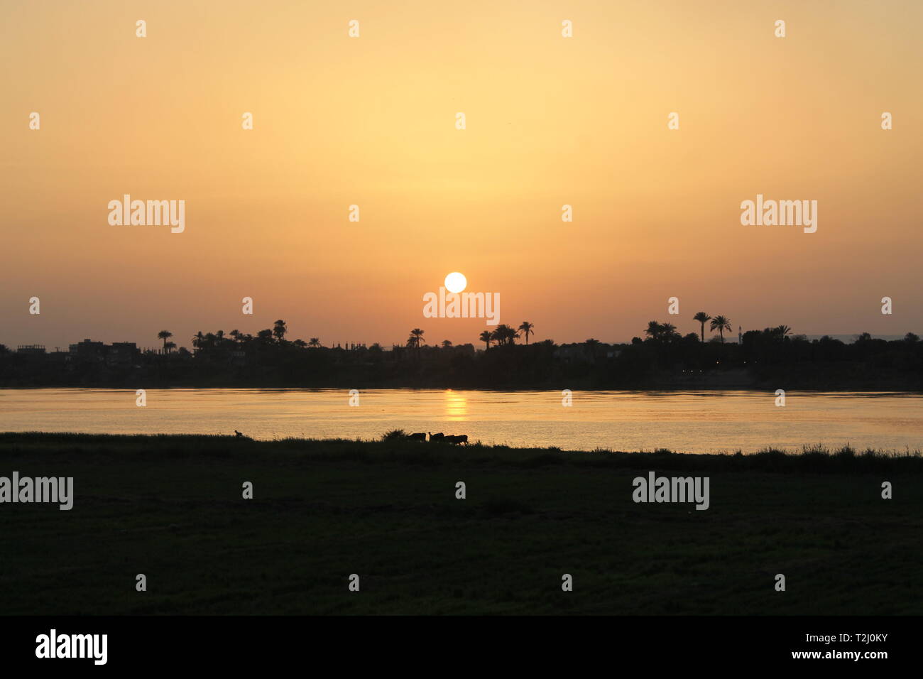 Nile river egypt farm farmer hi-res stock photography and images - Alamy