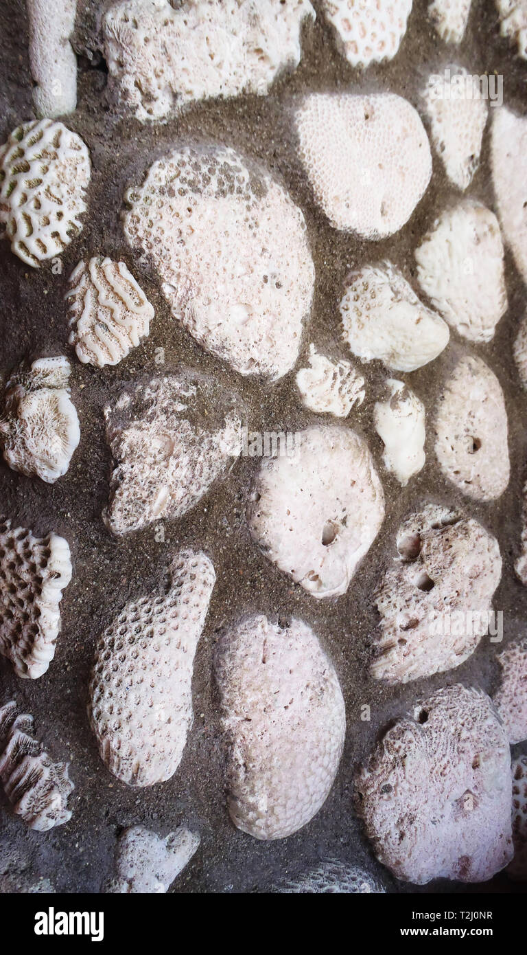 Wall made from coral hi-res stock photography and images - Alamy
