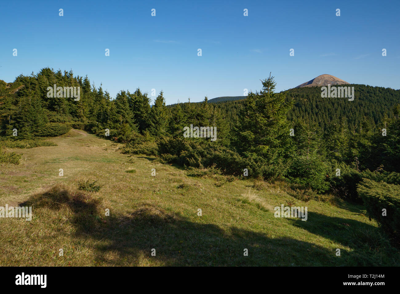 Landscape of Mount Hoverla is the highest mountain of the Ukrainian ...