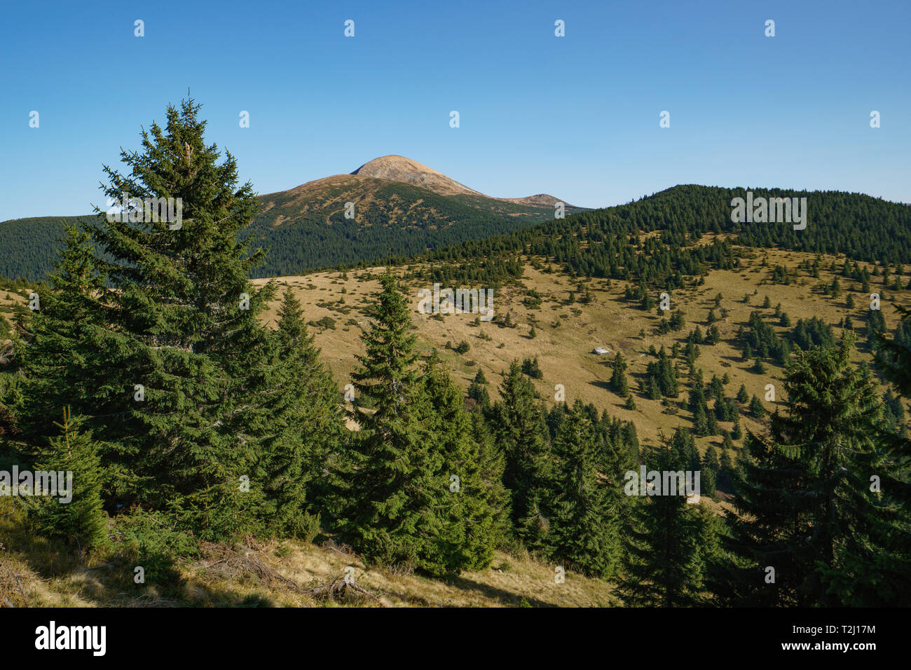 Landscape of Mount Hoverla is the highest mountain of the Ukrainian ...