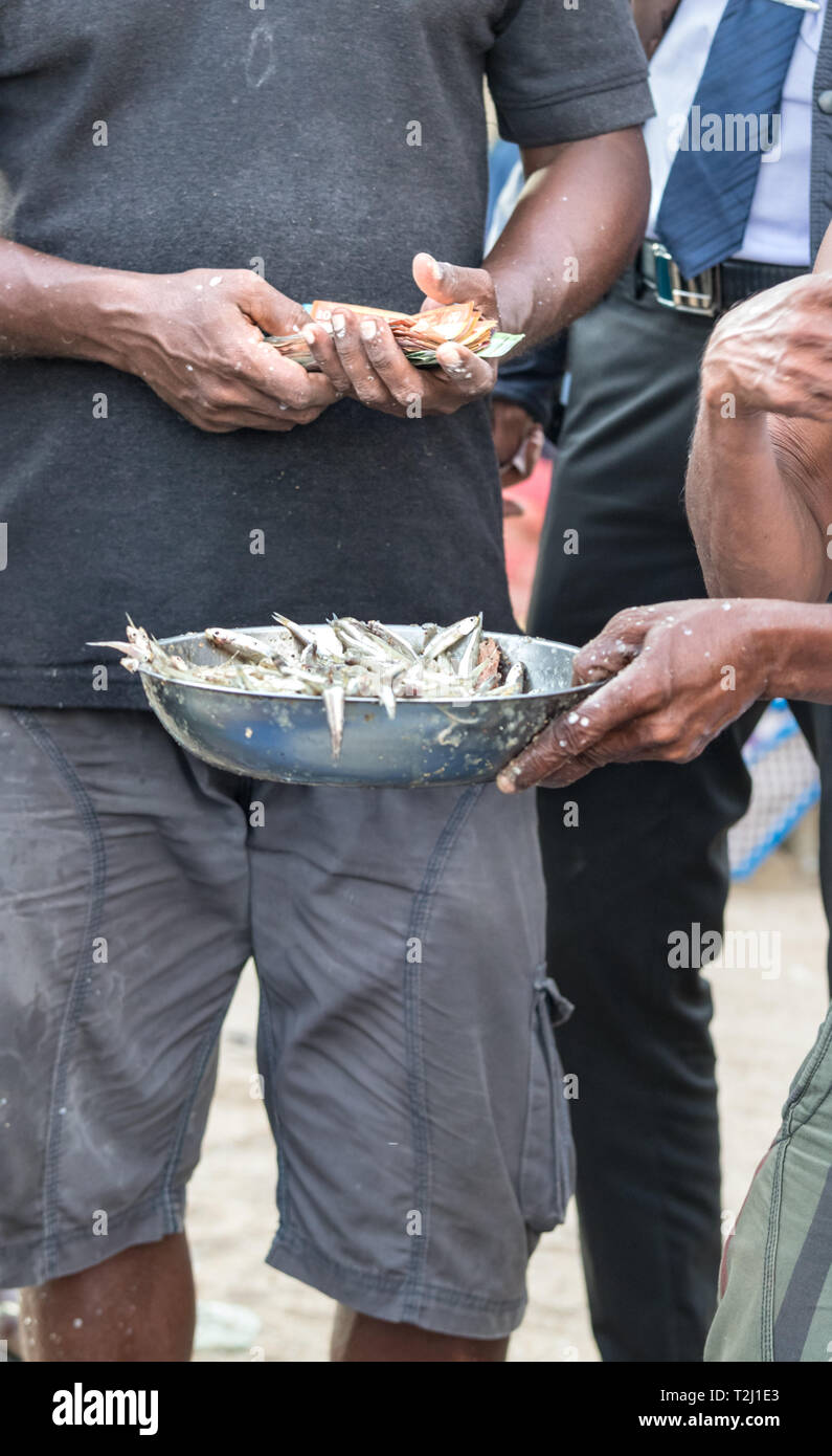 Fisherman holding money selling fresh fish at the local fish market in ...