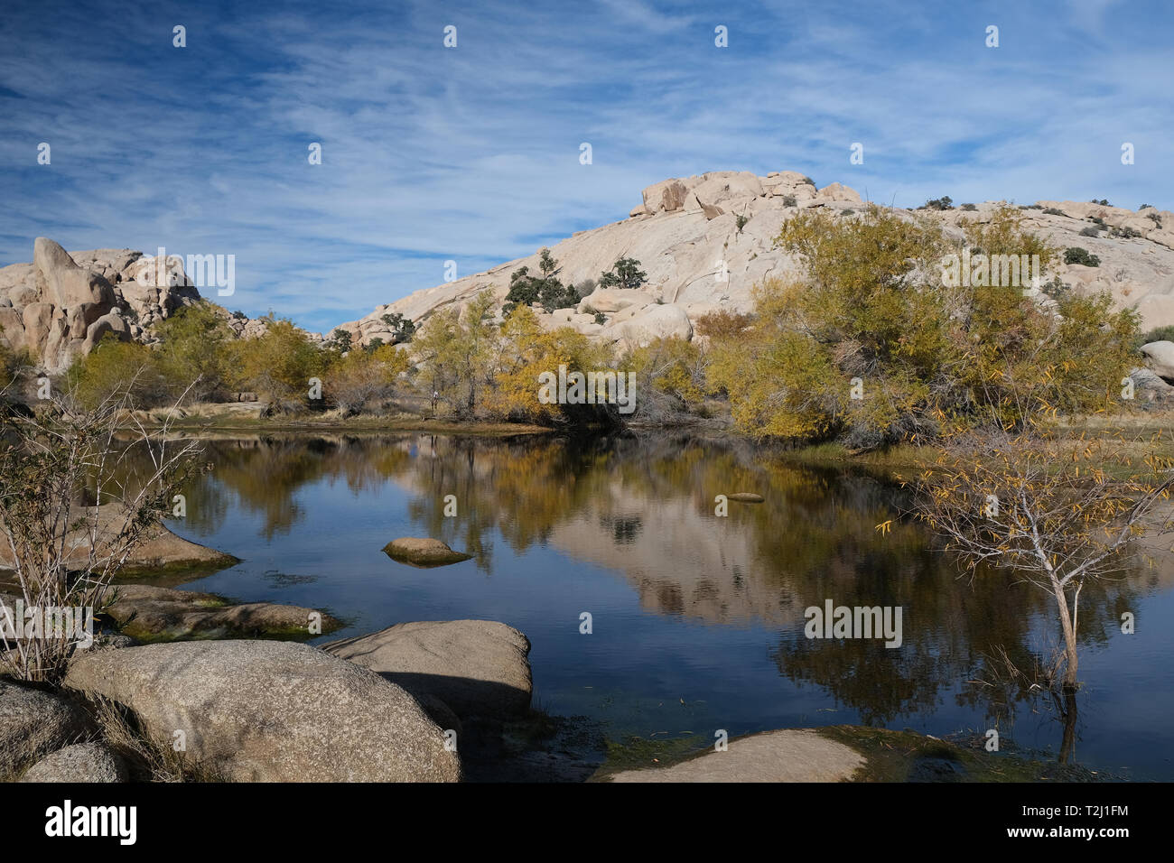 Barker Dam in Joshua Tree National park, California Stock Photo - Alamy