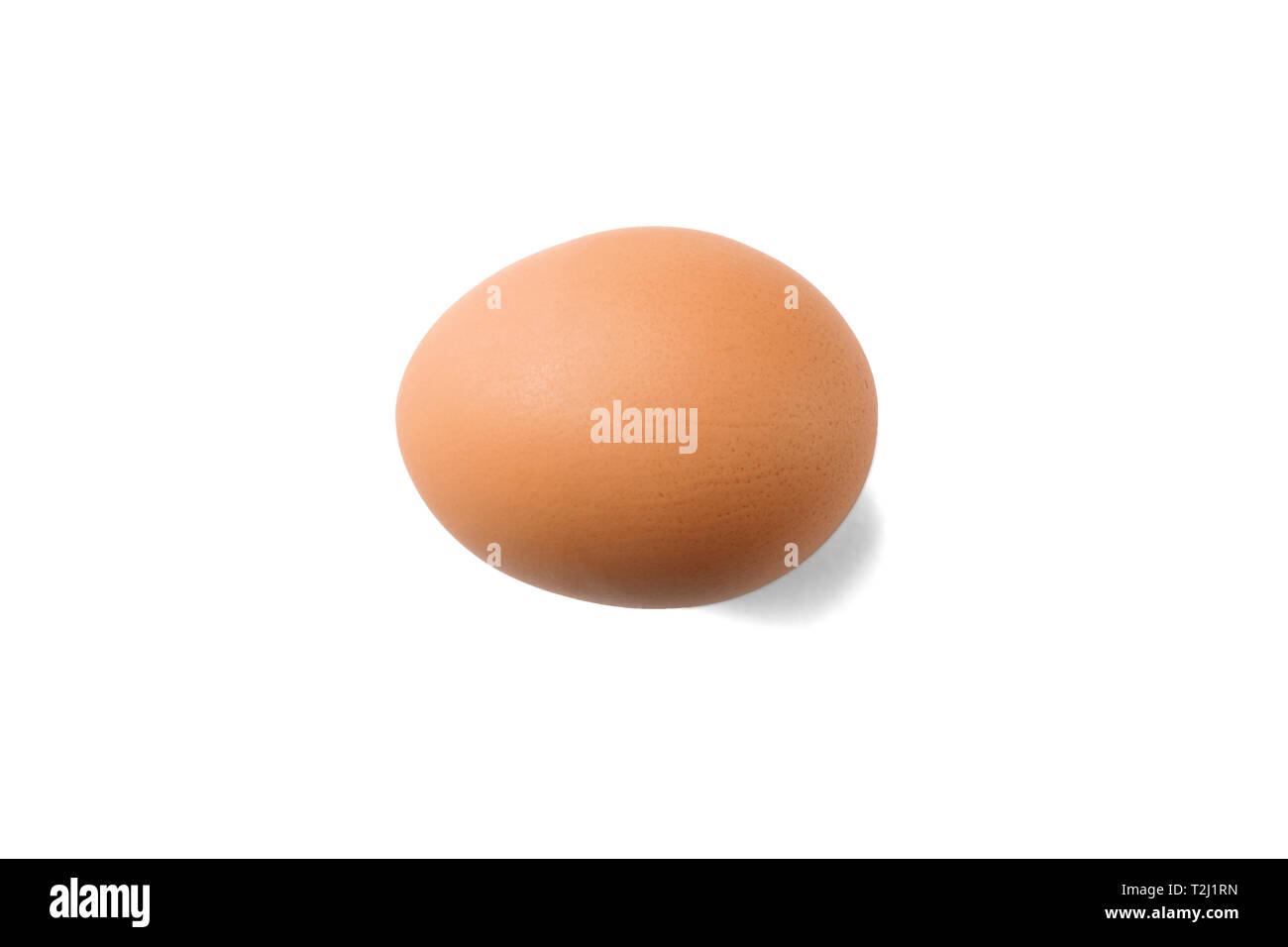 Chicken egg in horizontal position isolated on white background Stock ...