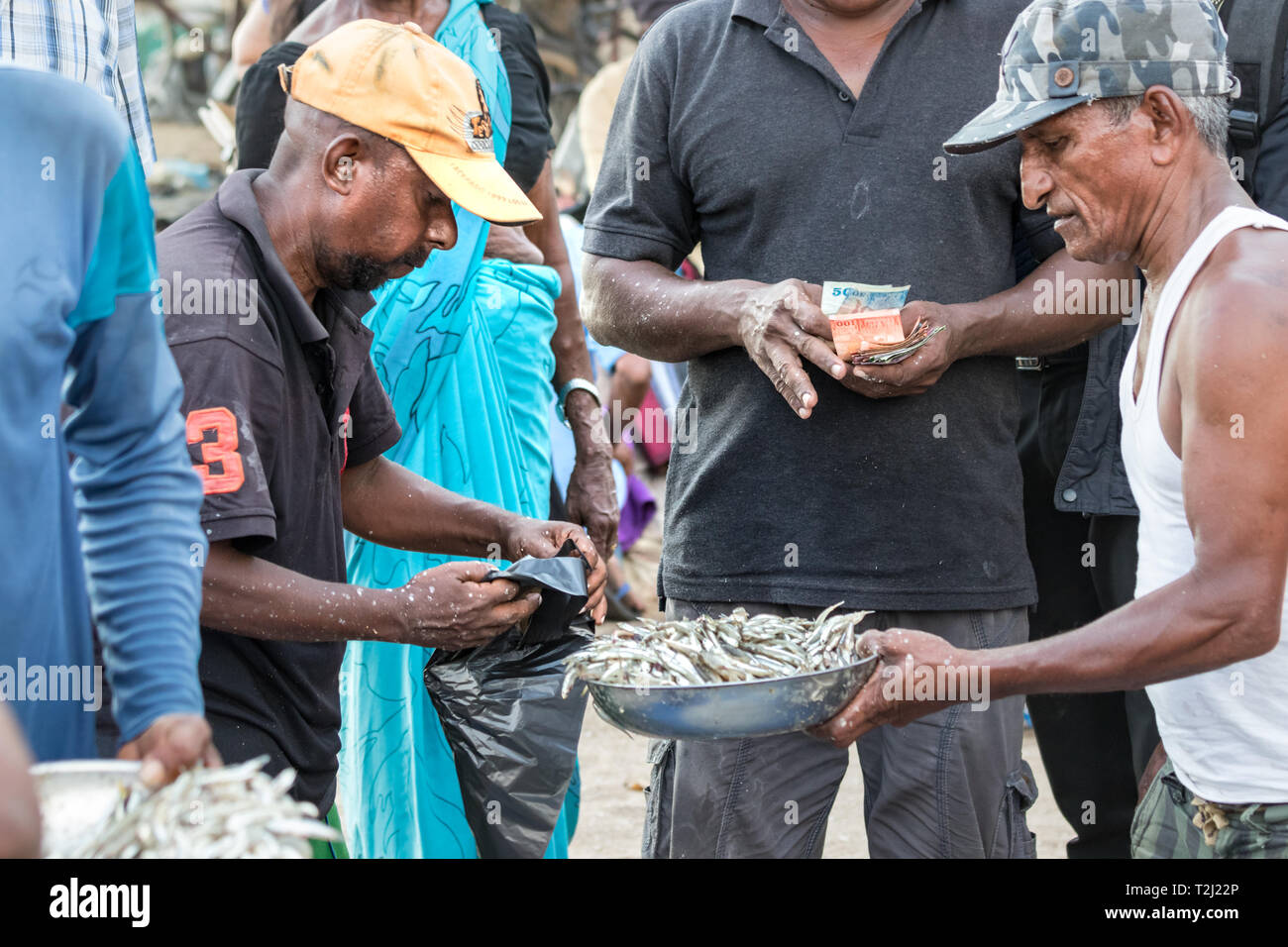 Galle, Sri Lanka - February 18th, 2019: Fisherman trading and putting ...