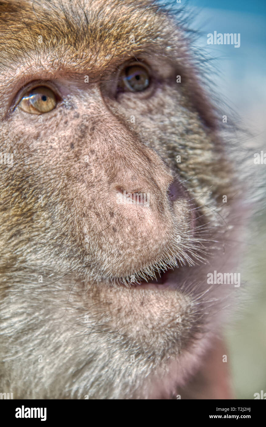 Mono mediterranean hi-res stock photography and images - Alamy