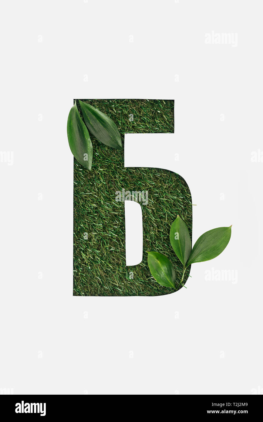 top view of cyrillic letter with grass on background and leaves in ...