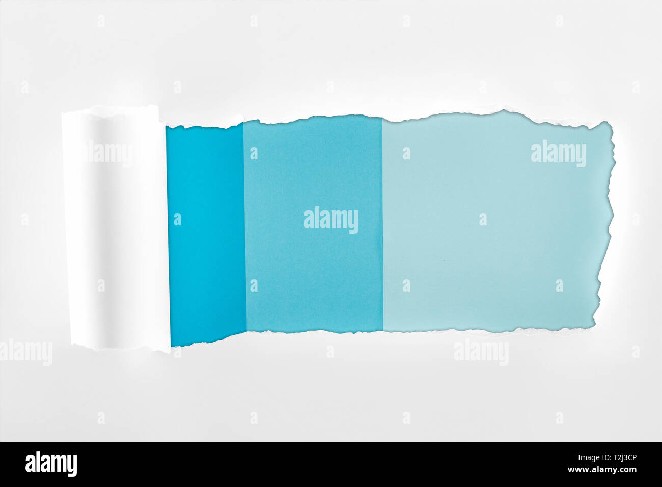 tattered textured white paper with rolled edge on blue background Stock ...