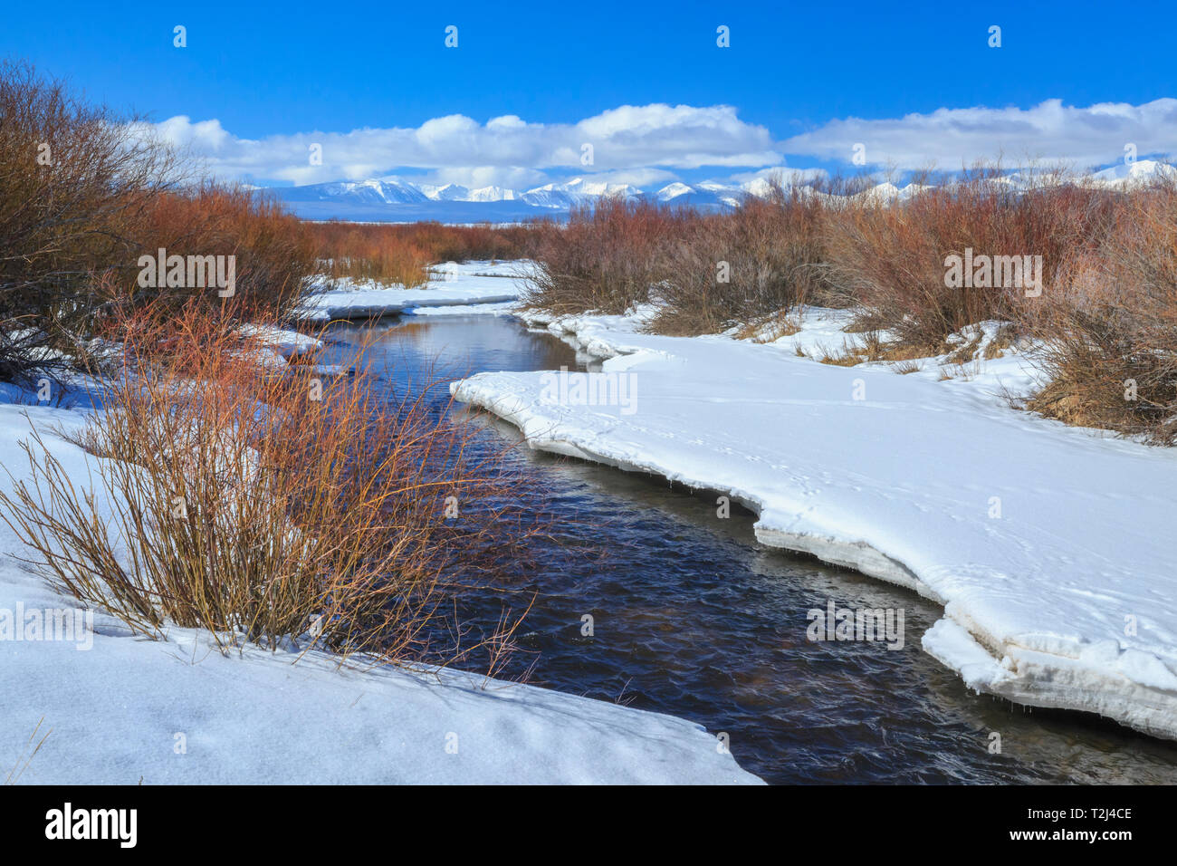 upper big hole river in winter near jackson, montana Stock Photo - Alamy