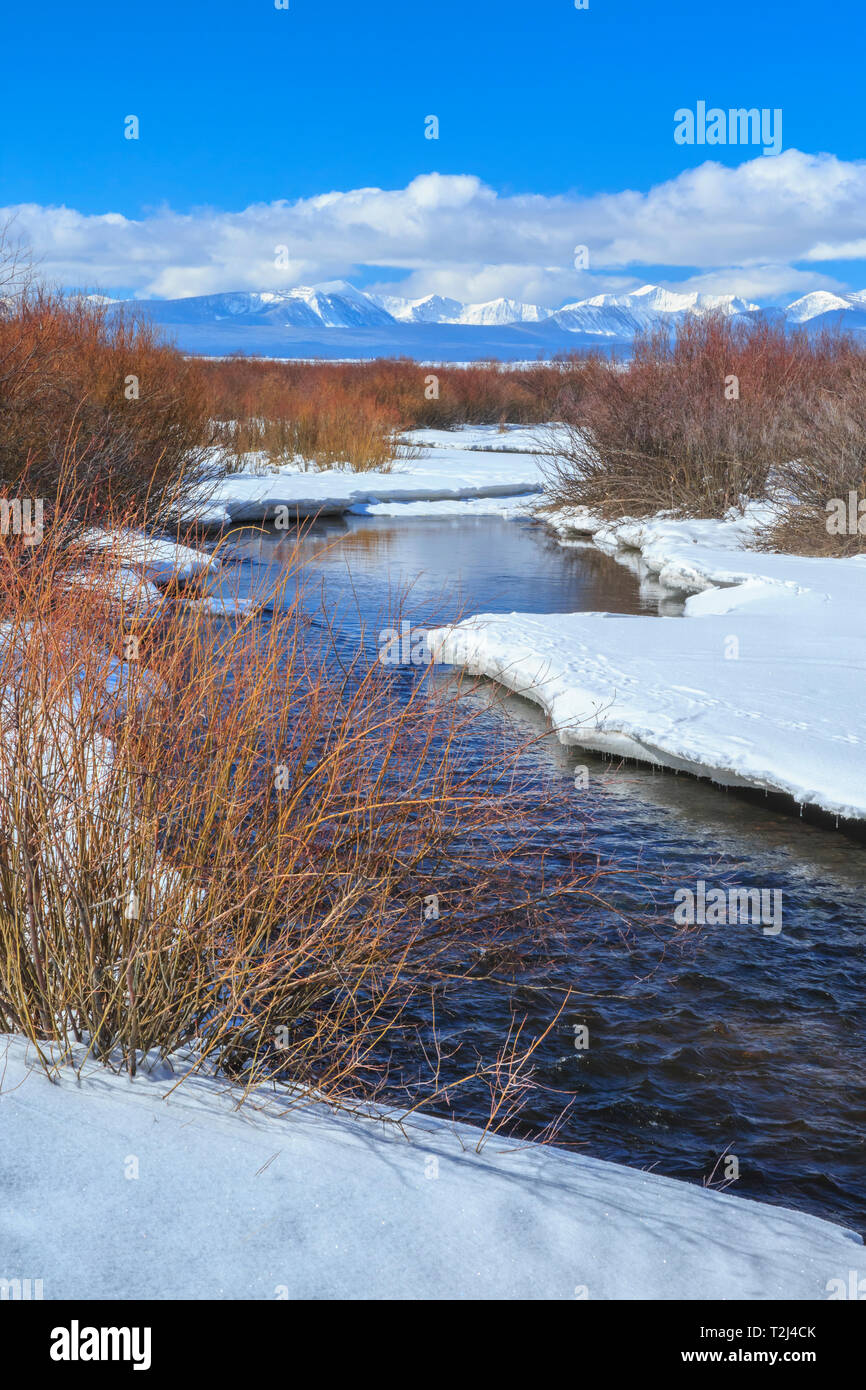 upper big hole river in winter near jackson, montana Stock Photo - Alamy
