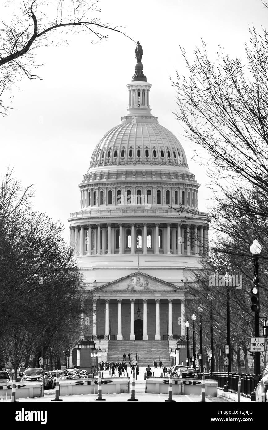 Jumping for joy enjoying the first of spring Stock Photo - Alamy