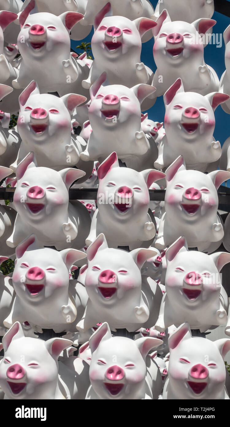 Laughing pig hi-res stock photography and images - Alamy