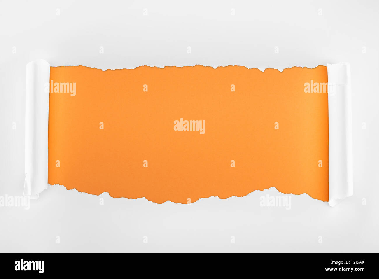 ragged textured white paper with curl edges on orange background Stock ...