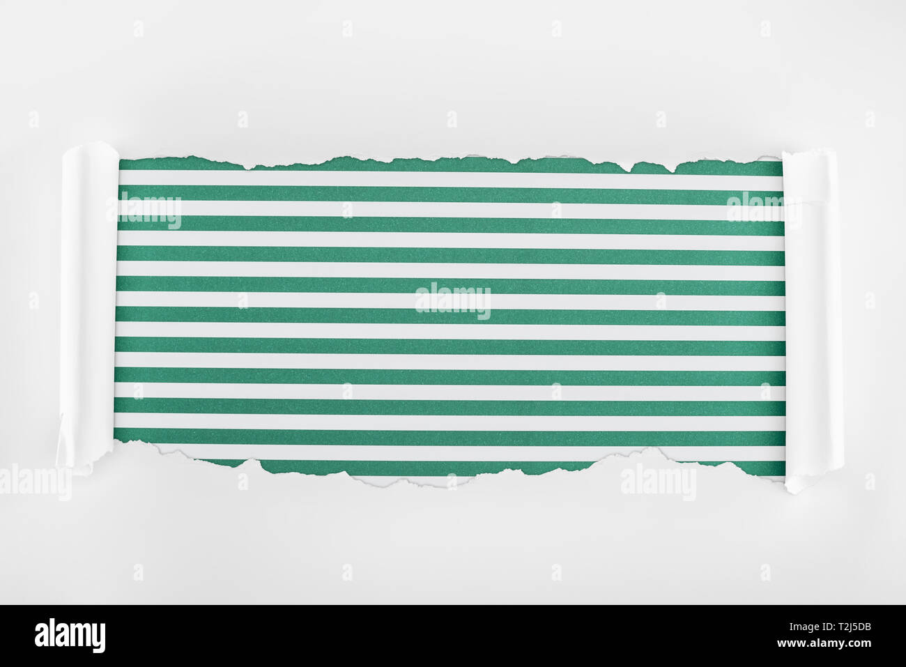 ragged textured white paper with curl edges on green striped background ...