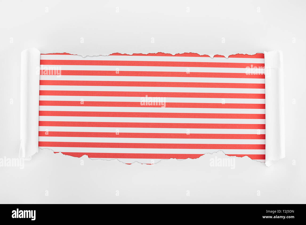 ragged textured white paper with curl edges on red striped background ...