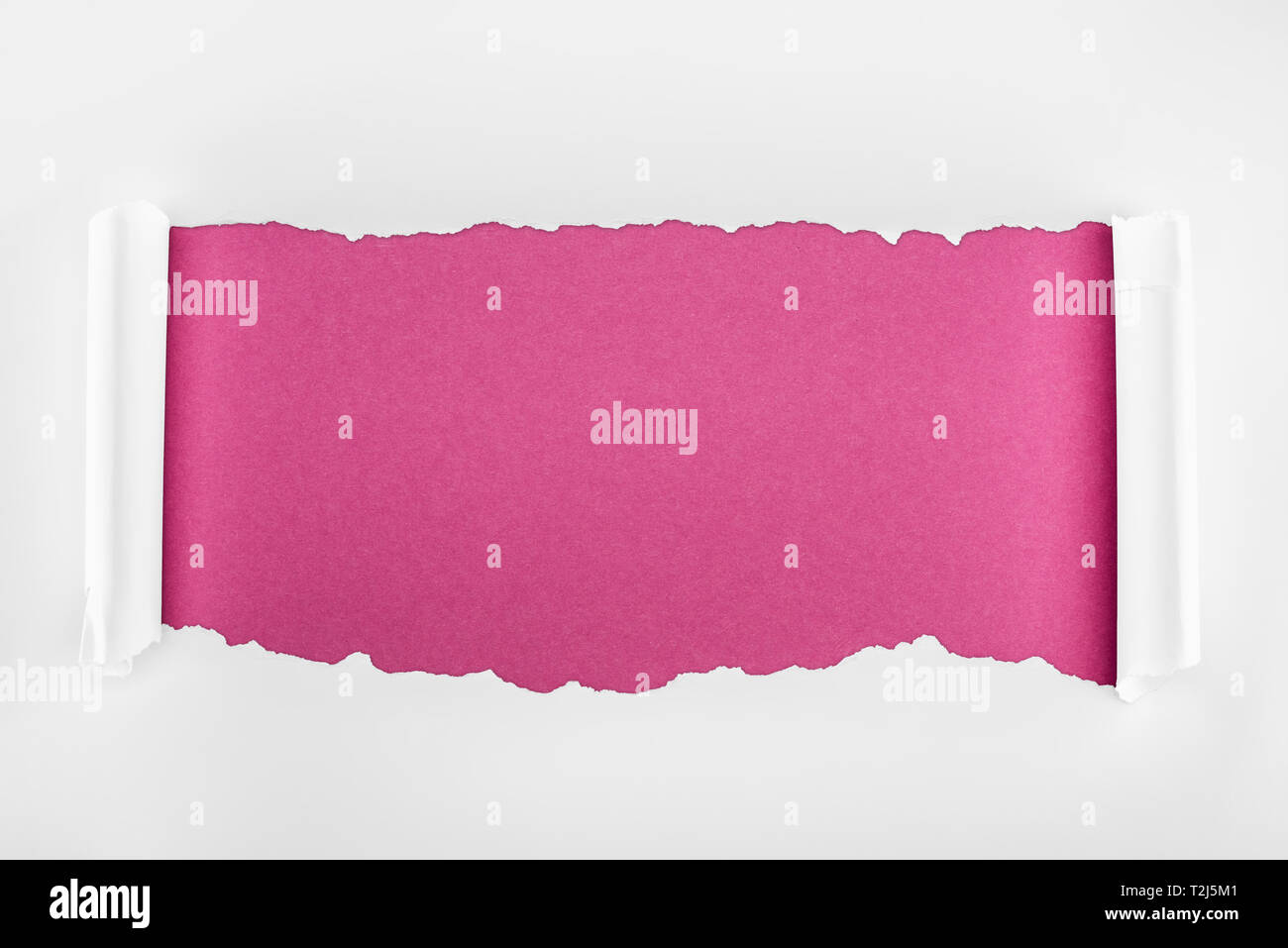 ripped white textured paper with curl edges on crimson background Stock ...