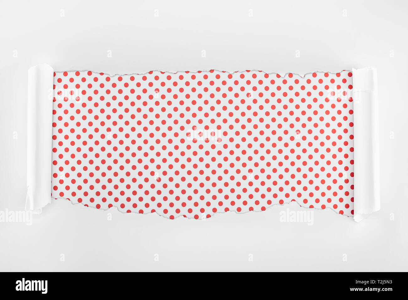 ripped white textured paper with curl edges on red dotted background ...