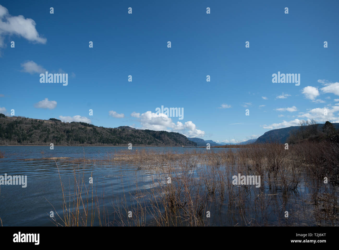 Dock low water level lake hi-res stock photography and images - Alamy