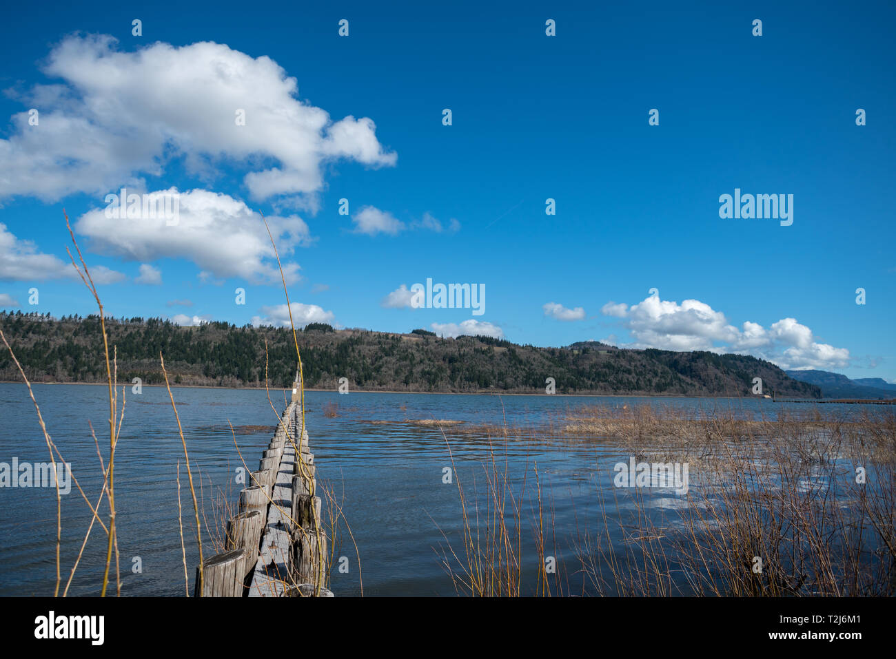 Dock low water level lake hi-res stock photography and images - Alamy
