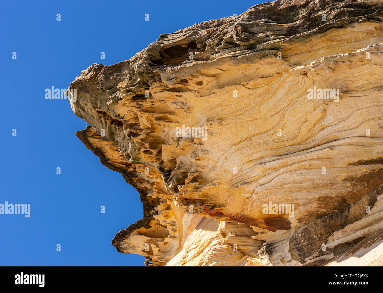 Shell like rock hi-res stock photography and images - Alamy