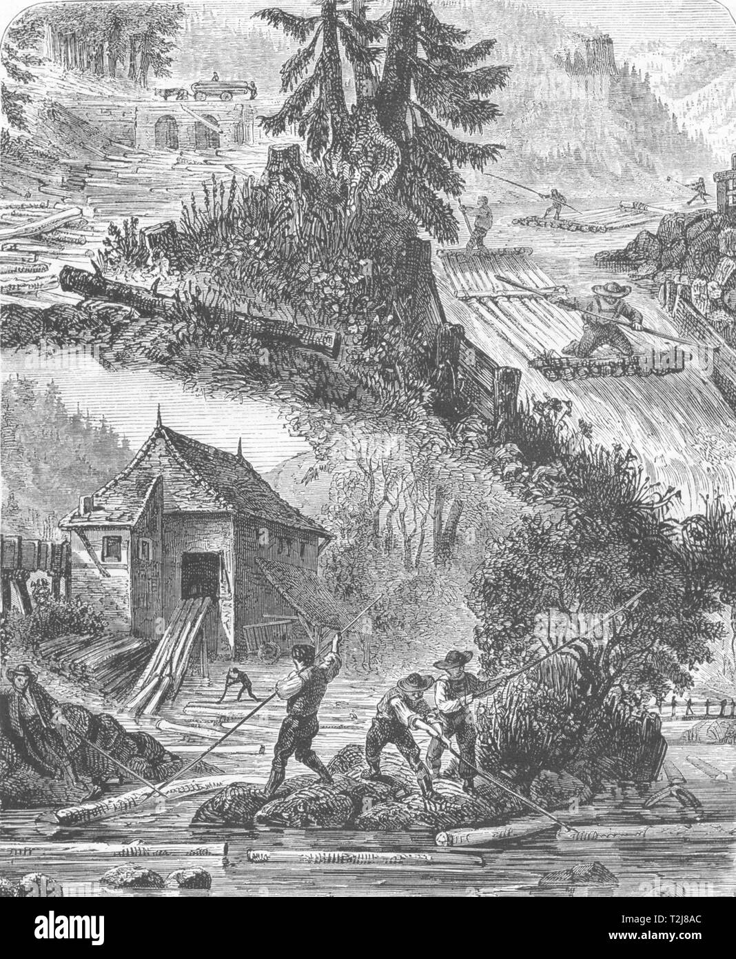 GERMANY. The Black Forest. A Black Forest Timber Raft c1893 old antique ...