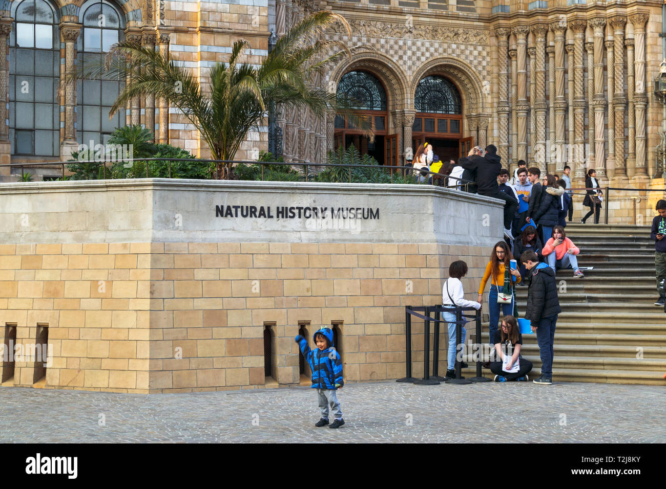 Entrance steps at the iconic Natural History Museum, Waterhouse ...
