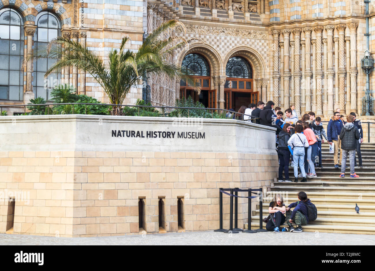 Entrance steps at the iconic Natural History Museum, Waterhouse ...