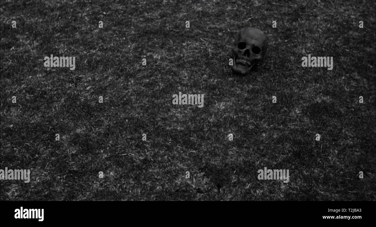 A creepy skull Stock Photo - Alamy