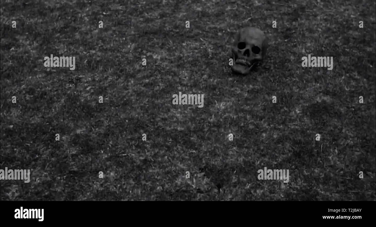 A creepy skull Stock Photo - Alamy
