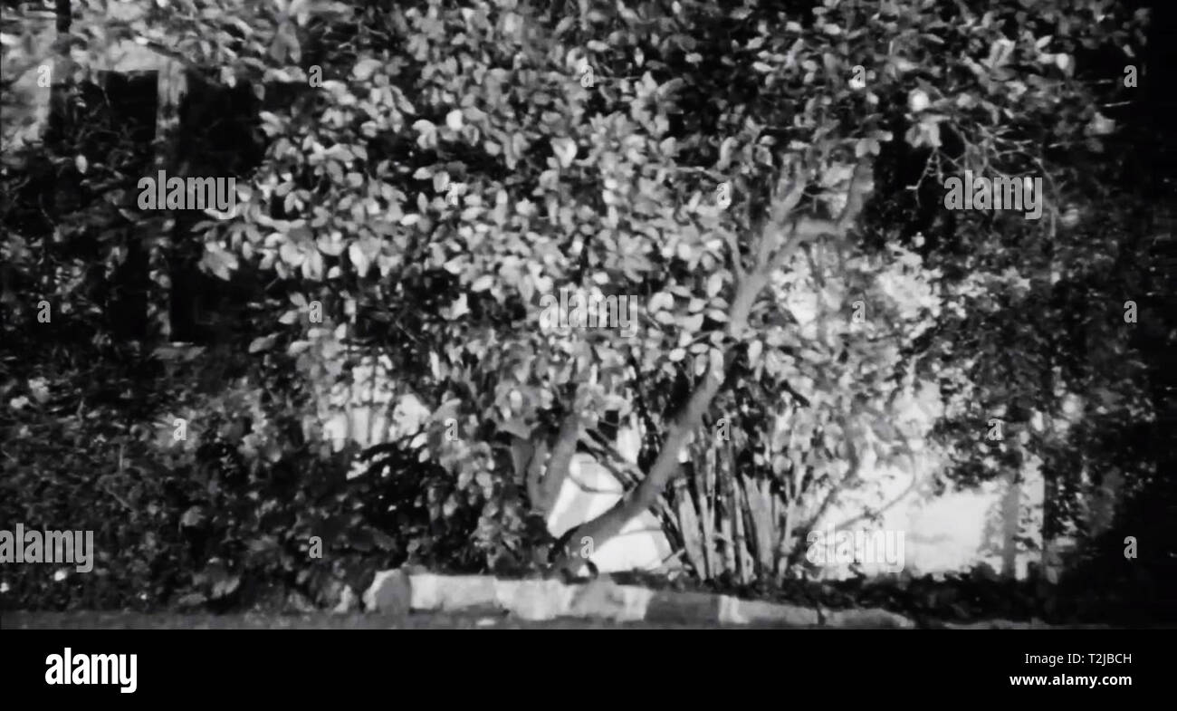 Death at an old mansion film hi-res stock photography and images - Alamy