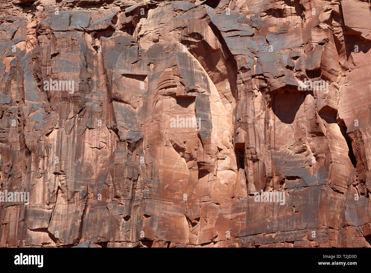 Weathered cliff face with black patina, Arches National Park, Utah ...