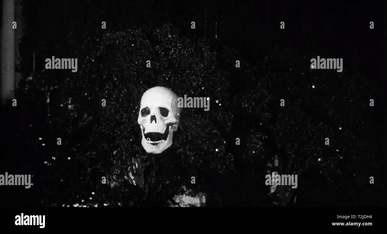 A creepy skull Stock Photo - Alamy